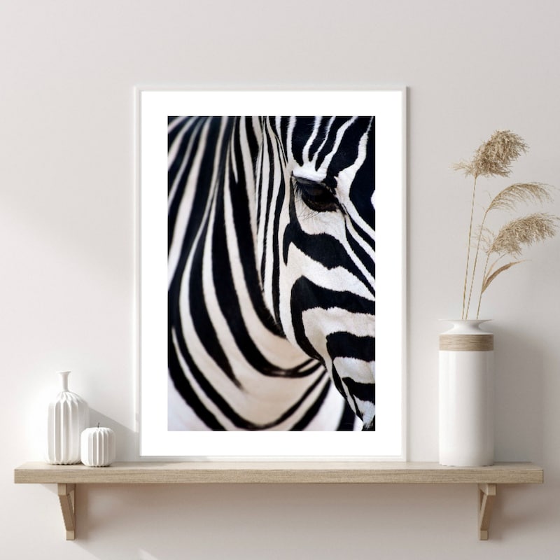 Zebra Print - Etsy