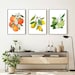 Citrus Fruit Print, Set of 3 Fruit Art Prints, Fruit Wall Art, Kitchen ...
