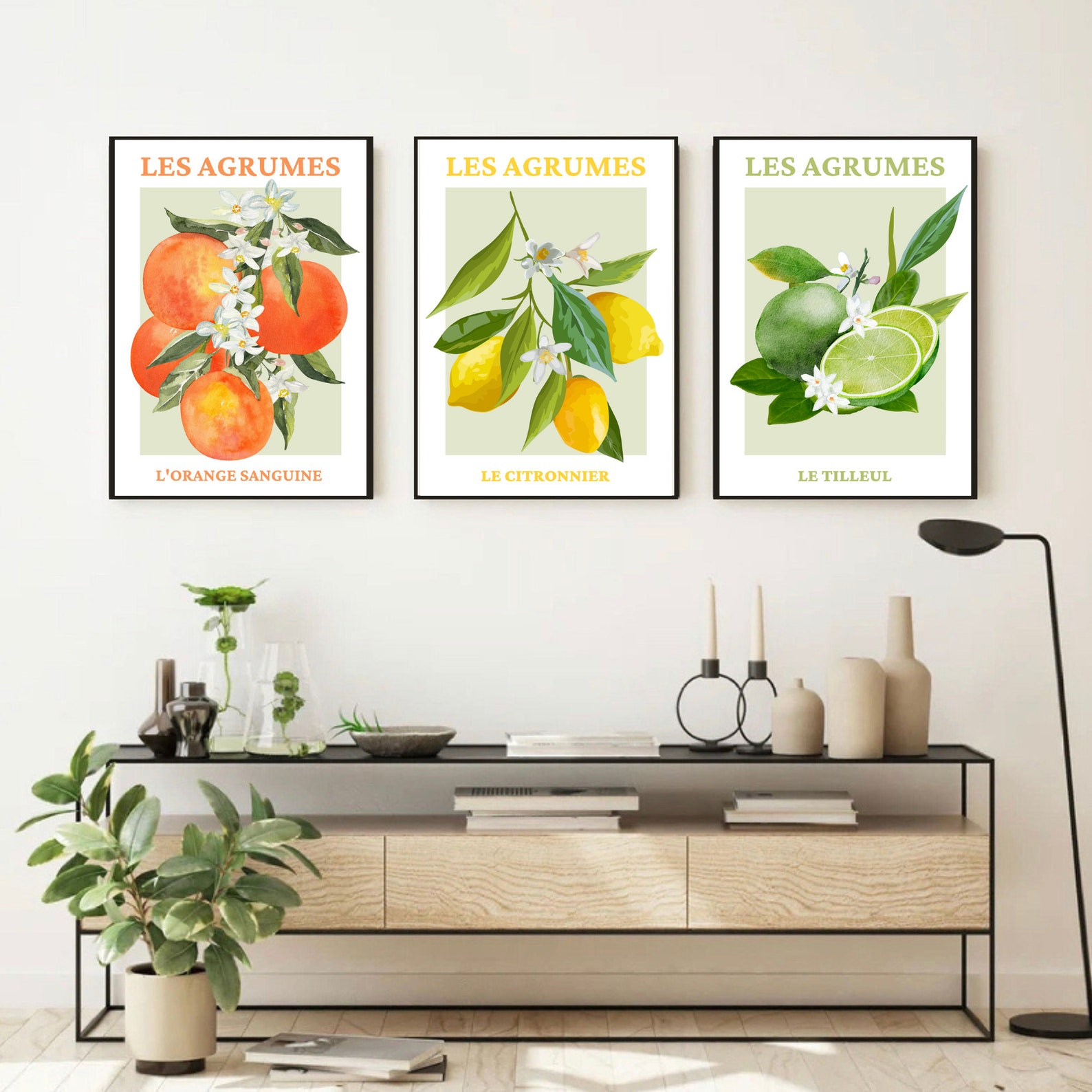 Citrus Fruit Print, Set of 3 French Fruit Art Prints, Fruit Wall Art ...