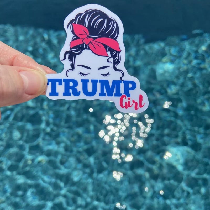 Trump Decals or Stickers - Etsy