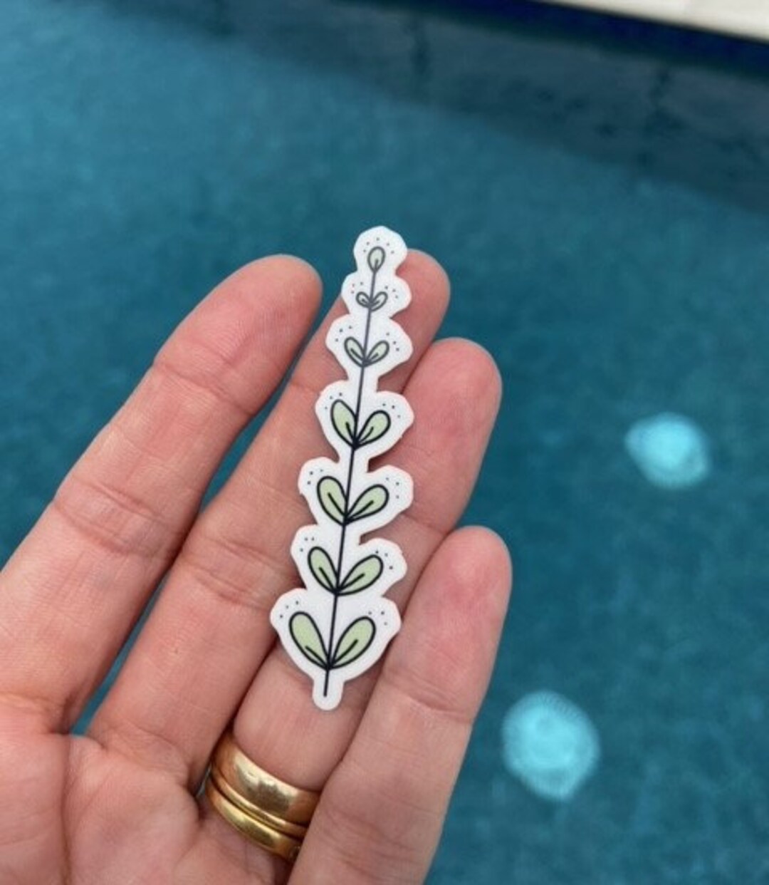 Plant Flower Leaf Pathos Sticker Pack Laptop Stickers Aesthetic ...