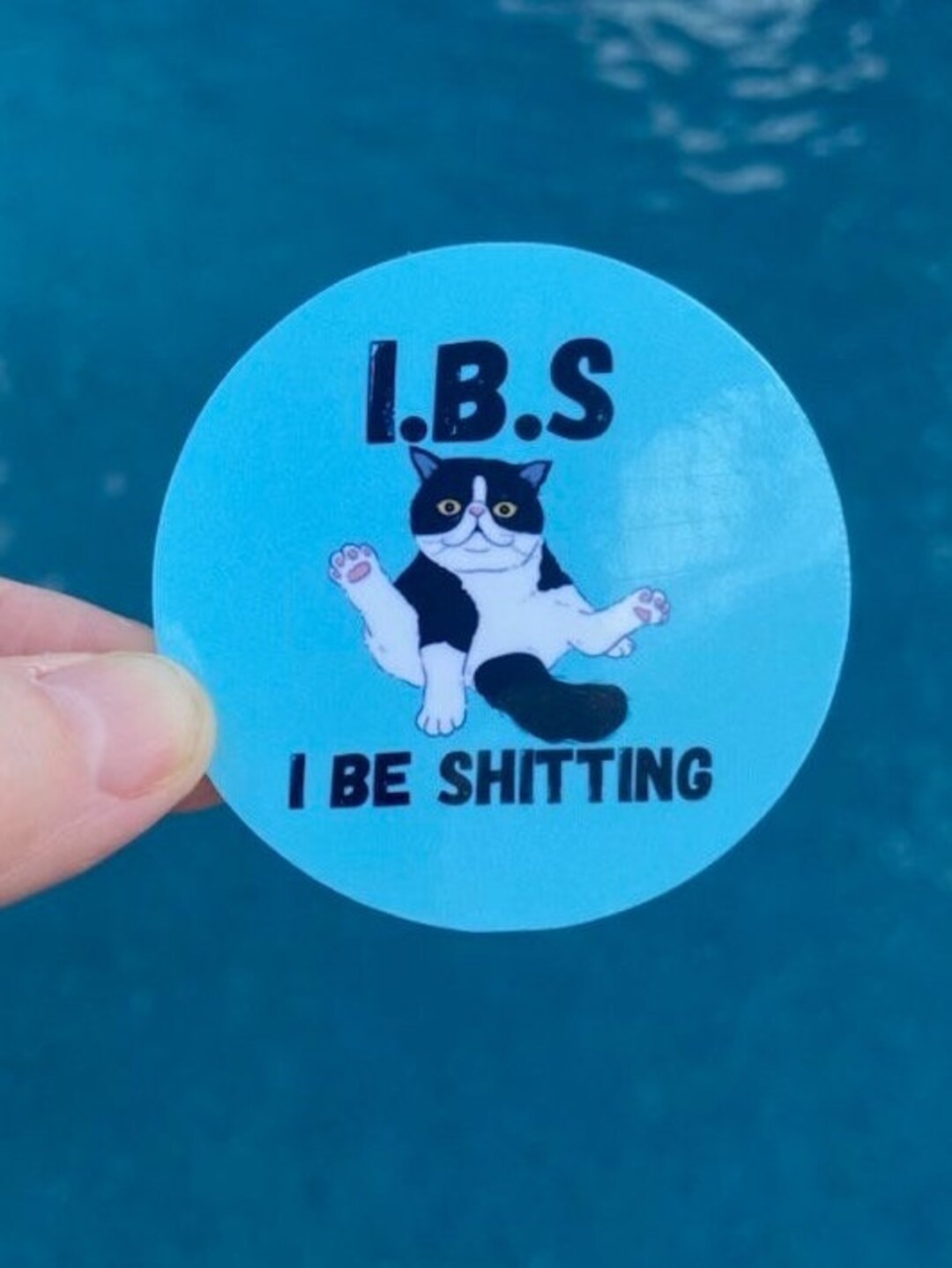 IBS I Be Shitting Sticker / IBS Sticker / Vinyl Sticker / Journaling ...