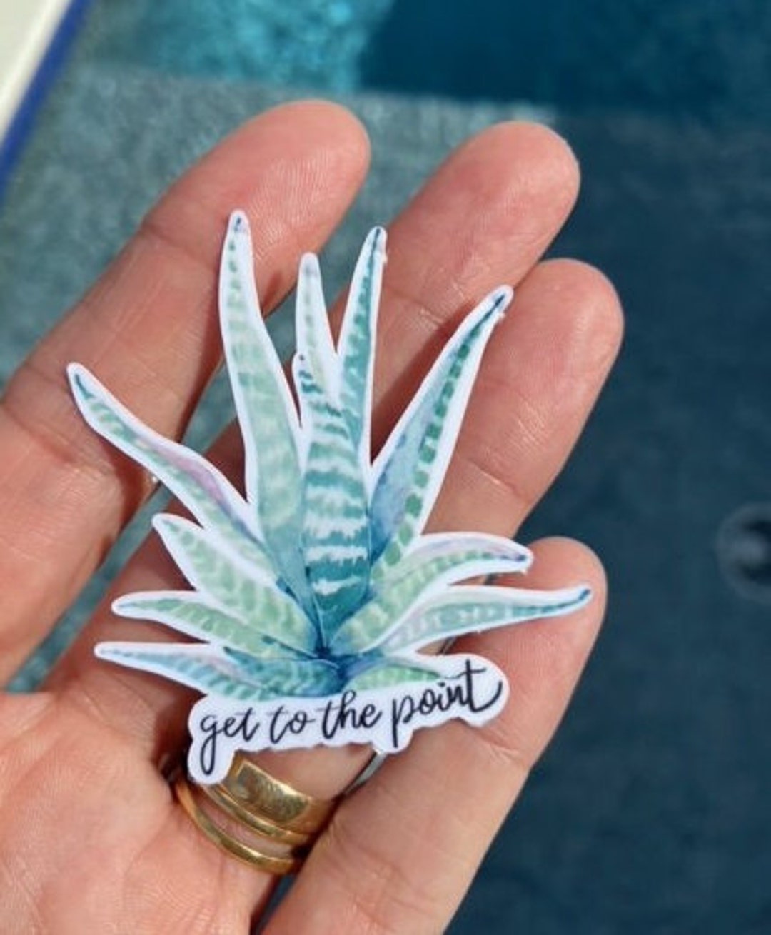 Get to the Point Succulent Vinyl Sticker, Water Bottle Sticker, Laptop ...