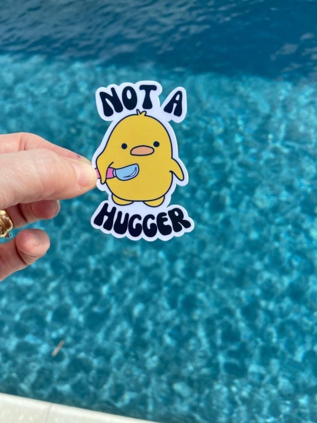 Not a Hugger Silly Goose Funny Laptop Stickers, Funny Stickers, Sarcasm ...