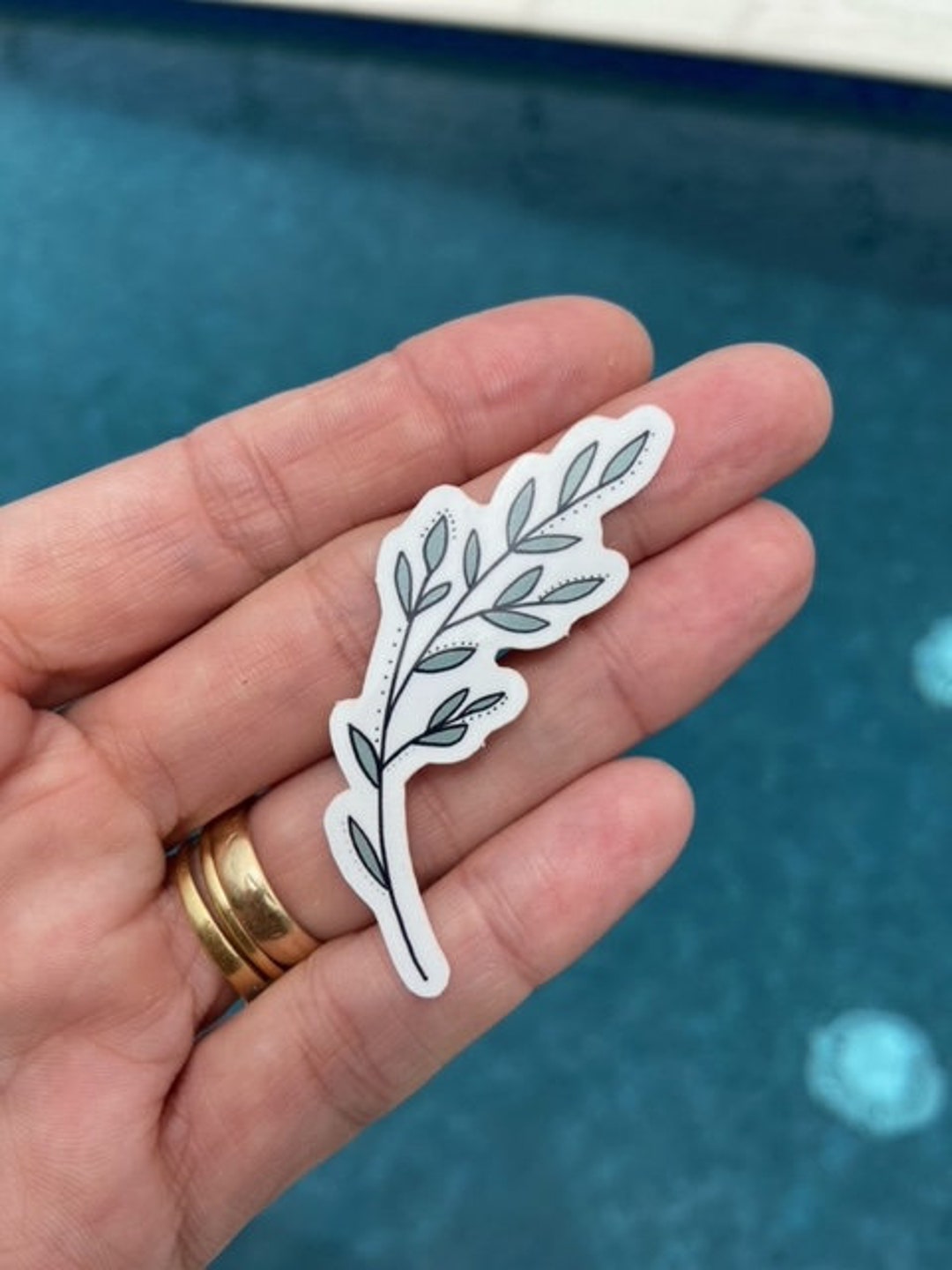 Plant Flower Leaf Pathos Sticker Pack Laptop Stickers Aesthetic ...