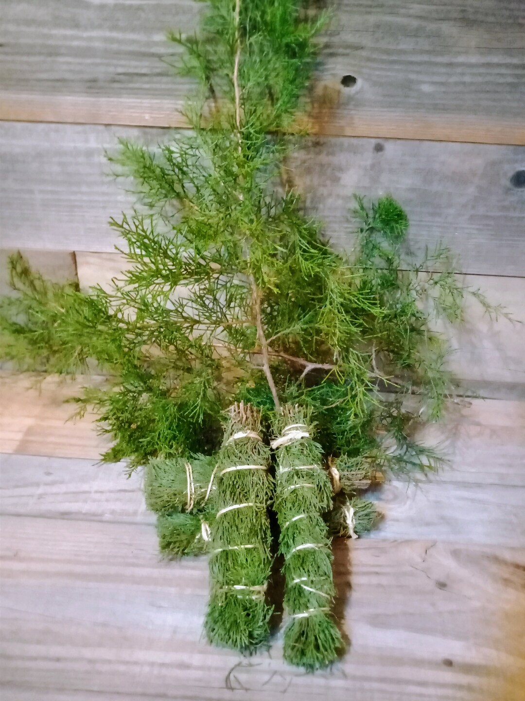 Wild Native Havested Organic Cedar Smudge Bundle - Set of 3 - Etsy