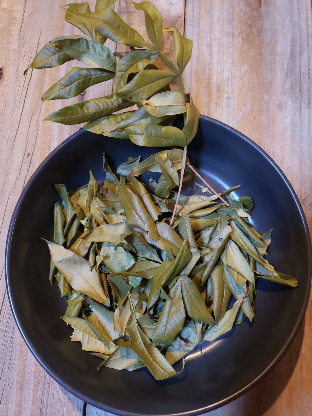 Wild Organic Native Winged Sumac Dried Leaves - Etsy