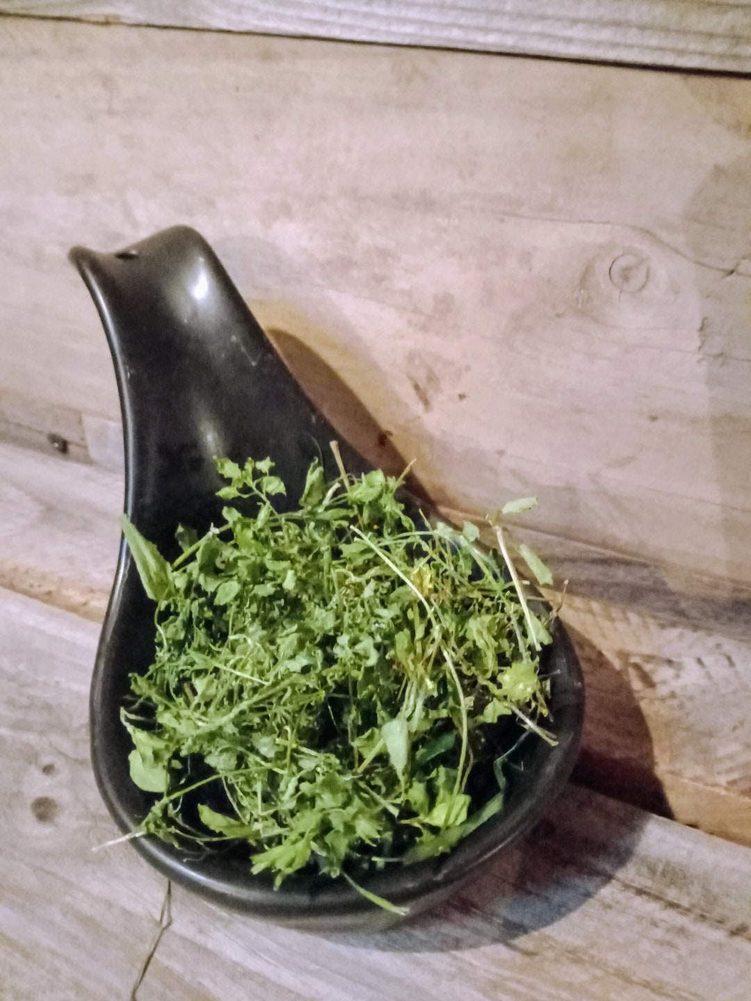 Wild Harvested Organic Dried Chickweed - Etsy