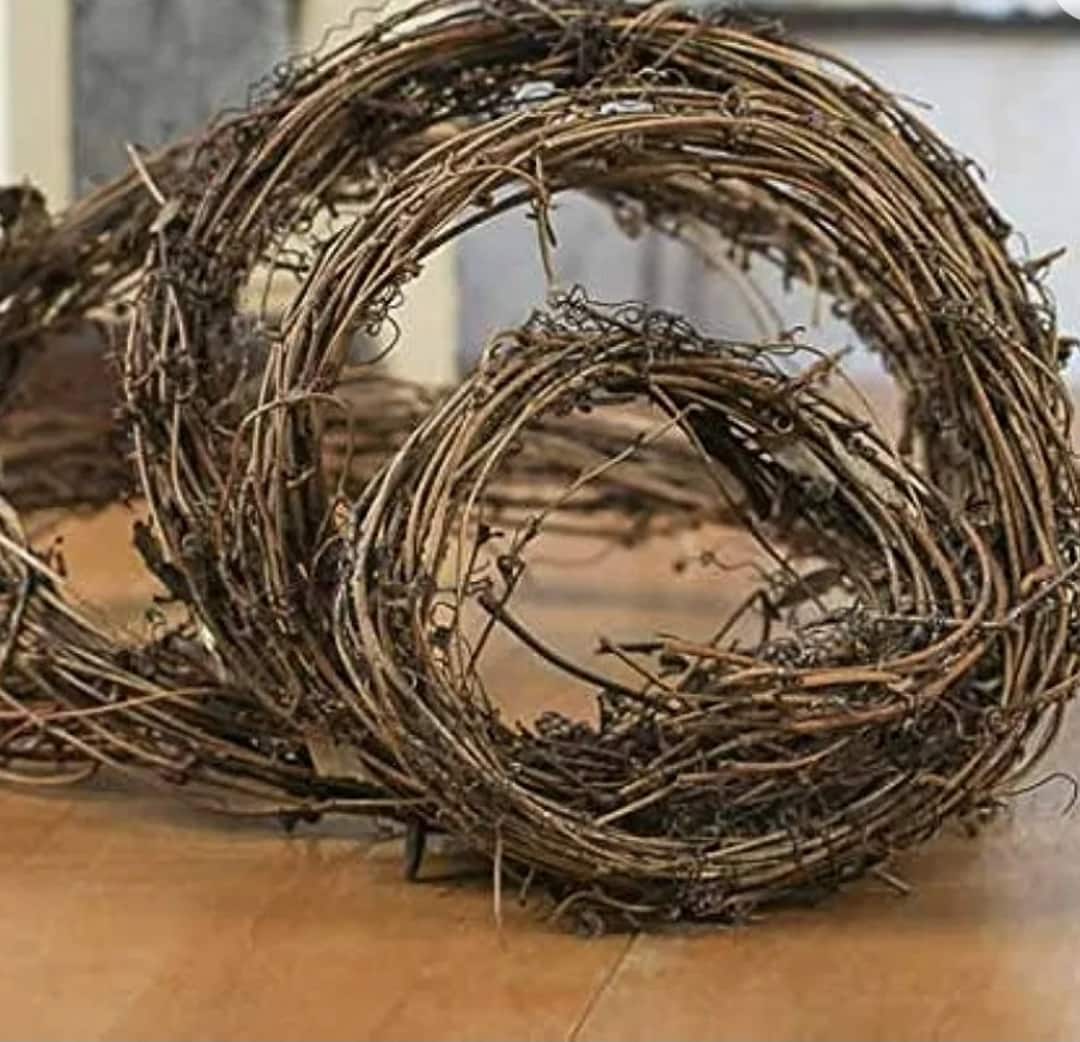 Wild Grapevine Twigs 3 Bundles - Etsy