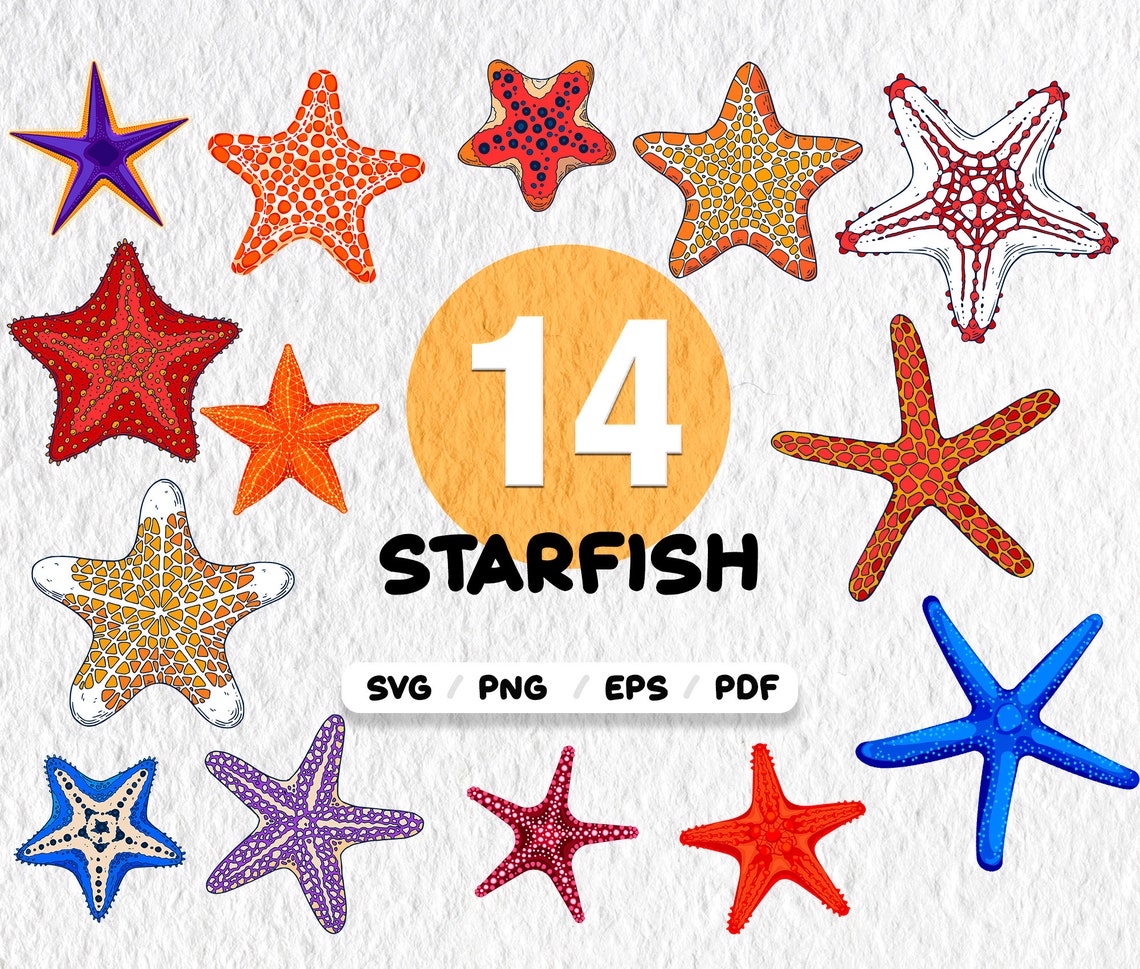 Starfish Svg,starfish Clipart Bundle, Starfish Svg, Starfish Silhouette ...