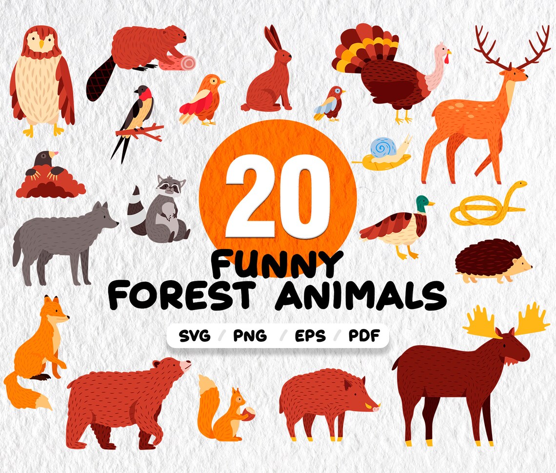 Forest Animals Svgfunny Face Animals Svg Vector Outline - Etsy
