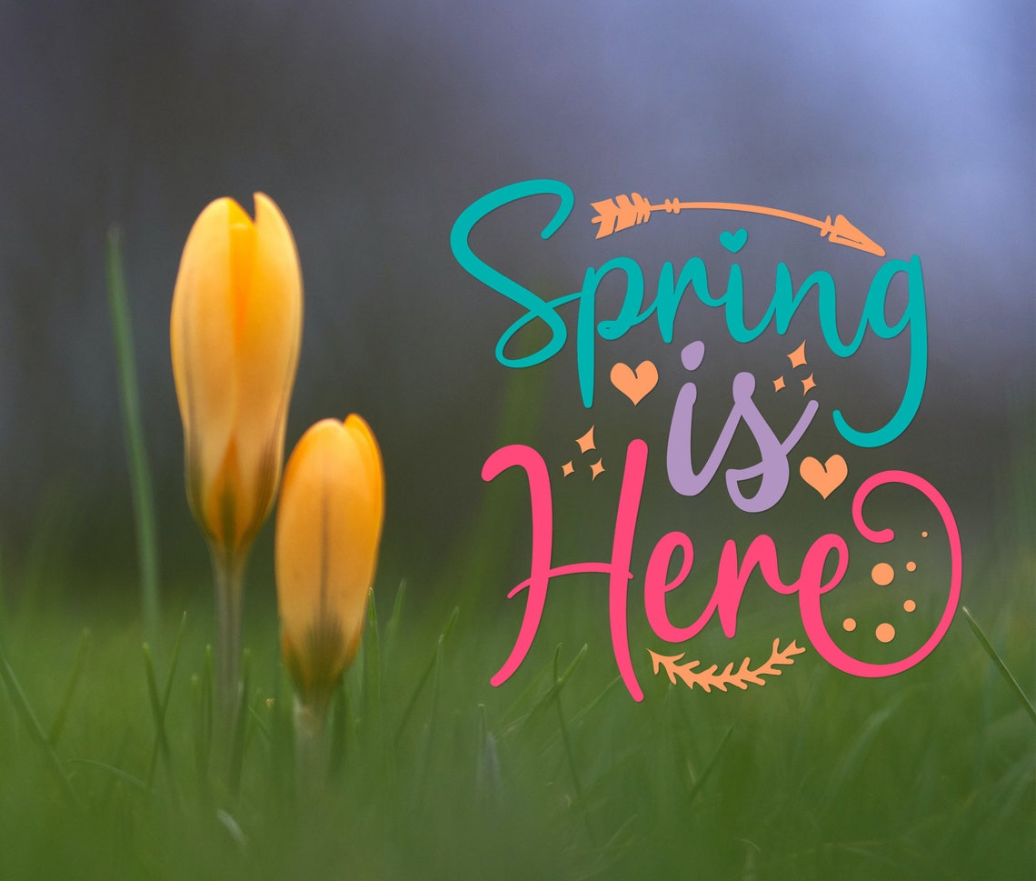 Spring is Here Svg Spring Clip Art Silhouette Pattern - Etsy