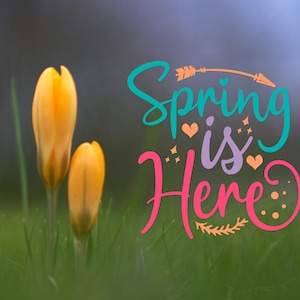 Spring is Here Svg Spring Clip Art Silhouette Pattern - Etsy