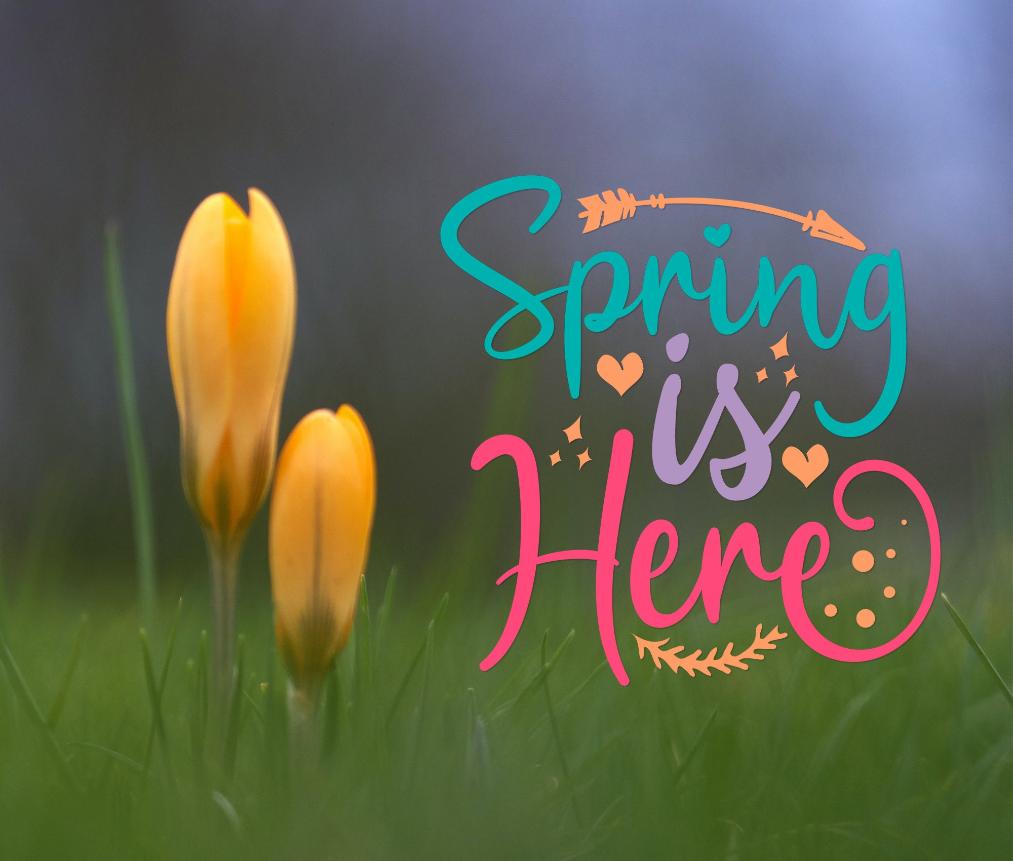 Spring is Here Svg Spring Clip Art Silhouette Pattern - Etsy