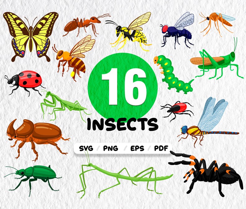 Insects Svg,insects Clipart Collections SVG, Insects SVG Bundle, Bug ...
