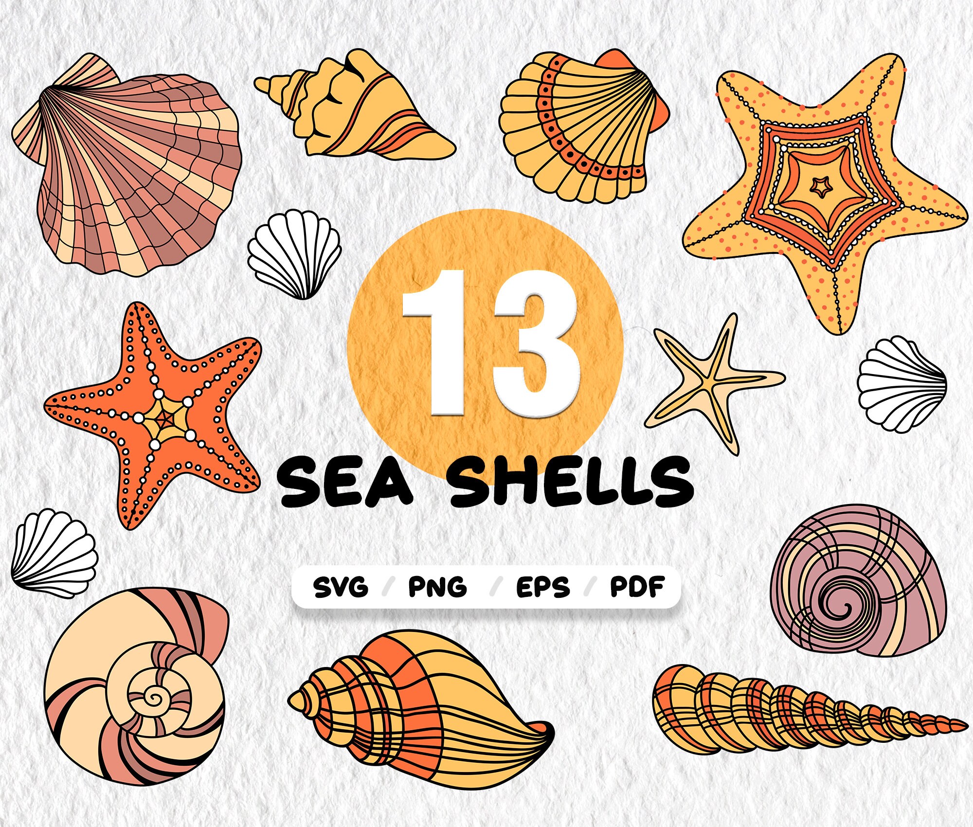 Sea Shells Svg,seashell Big SVG Bundle, Seashell Cut File,shell Svg ...