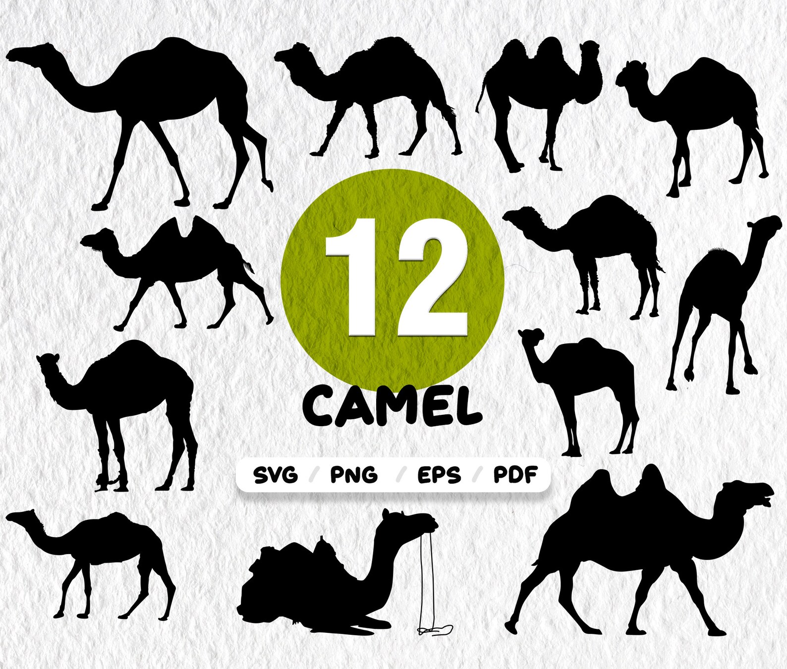 Camel Svg,camel Svg, Camel Clipart, Camel Silhouette,camel Vector,camel ...