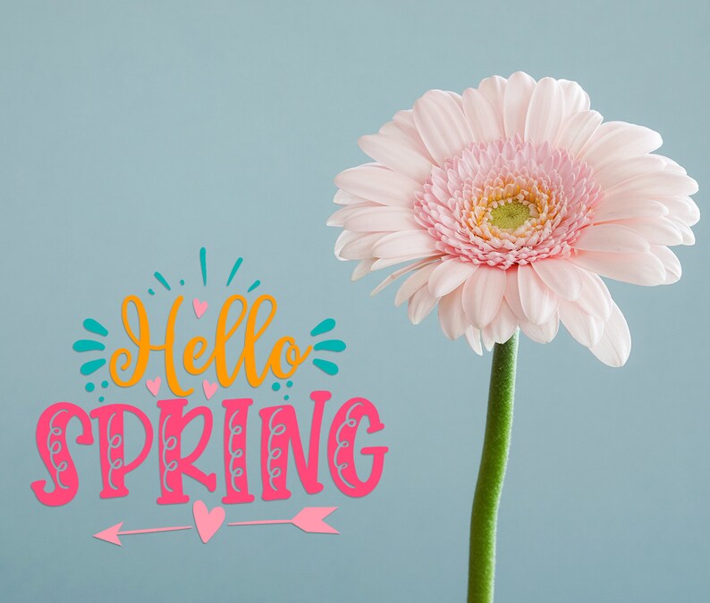Hello Spring Svg, Spring Svg, Spring Sign Svg, Spring Cut File, Spring ...
