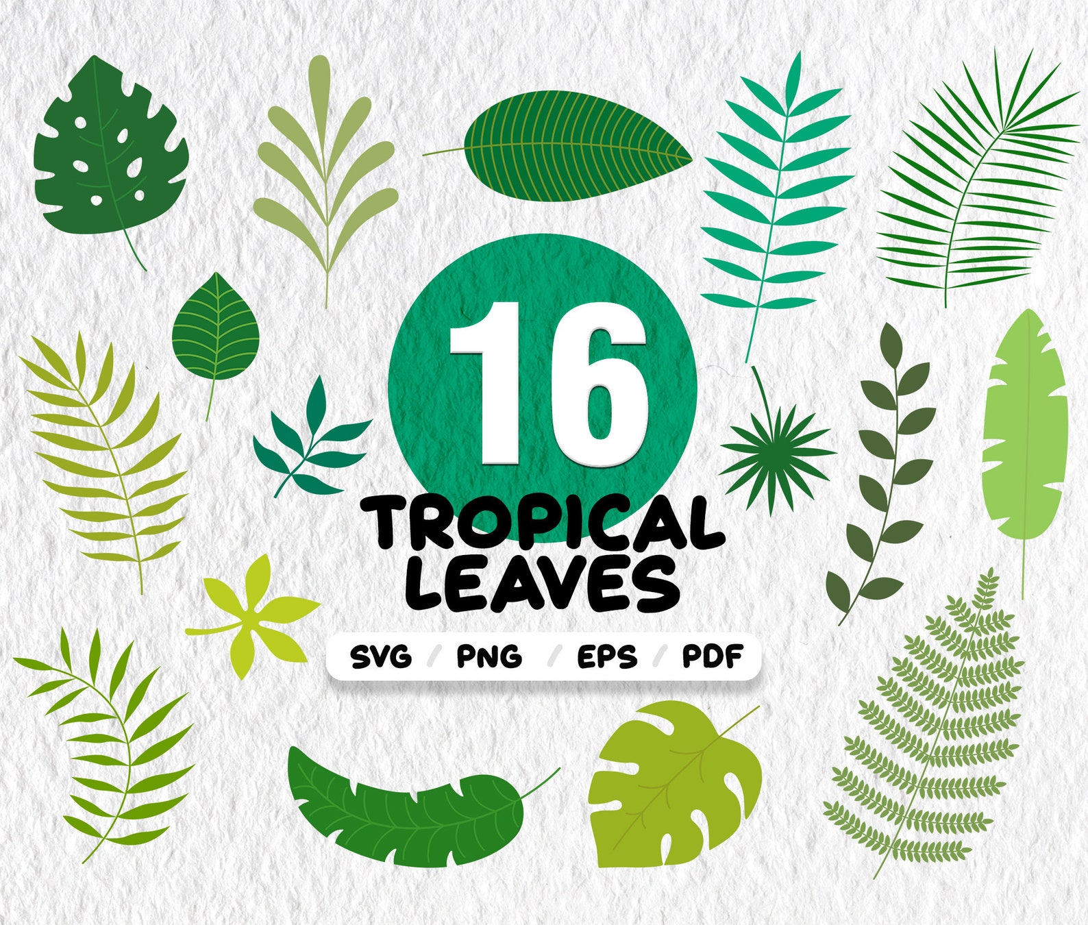 Tropical Leaves Svg,palm Leaves Bundle, Tropical Leaves Silhouettes ...