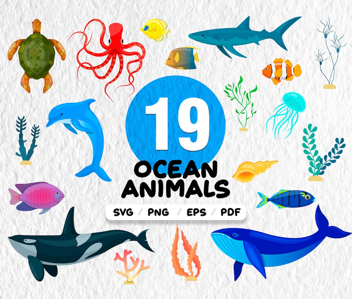 Ocean Animals Svgsea Animals Svgocean Creatures Svgunder - Etsy