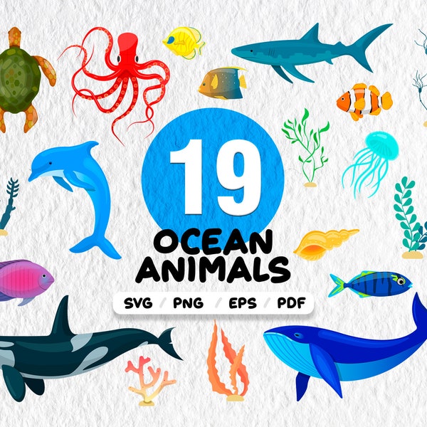 Ocean Animals Svg - Etsy