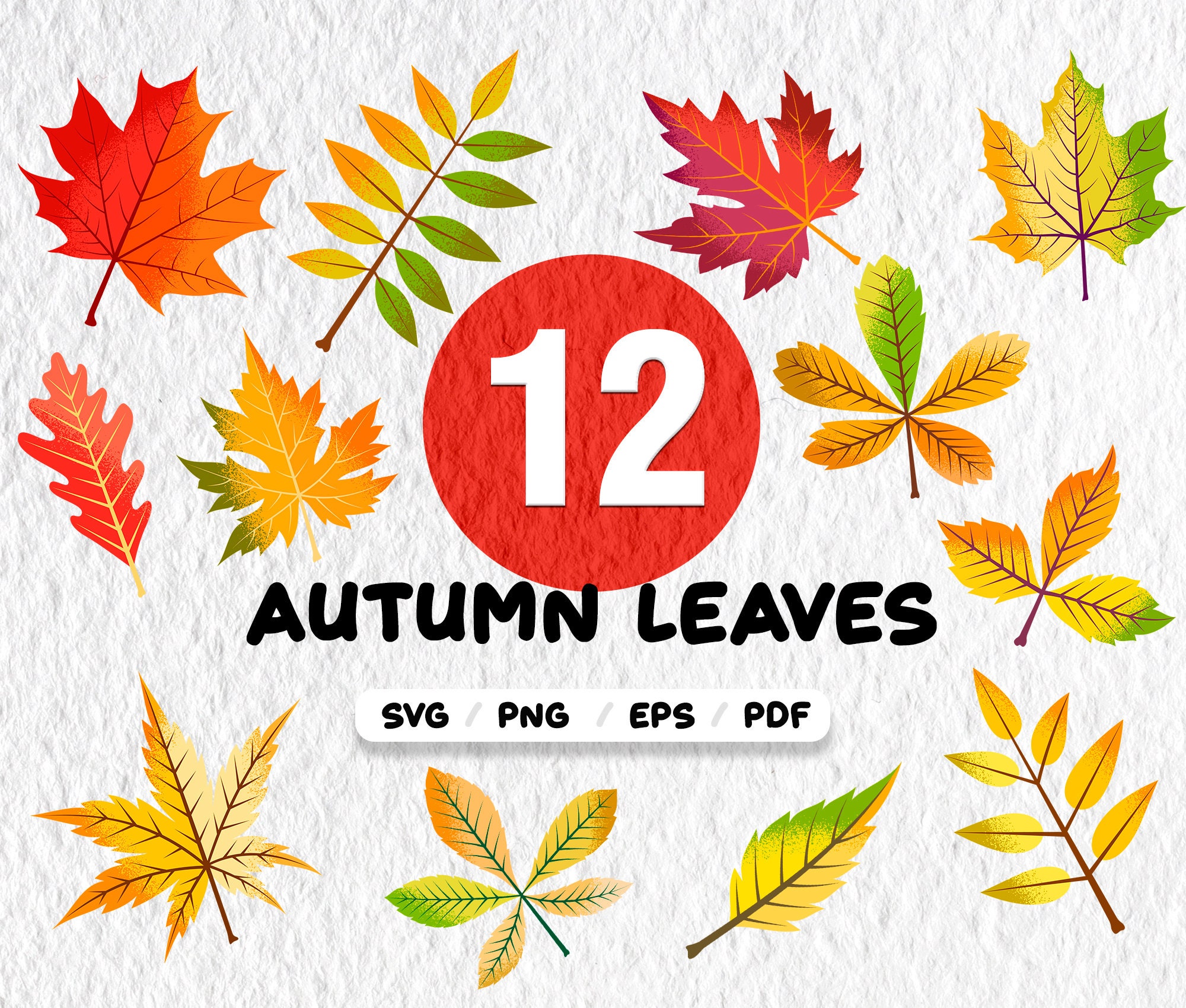 Autumn Leaves Svg Leaves Svg Leaf Svg Leaf Digital Autumn - Etsy