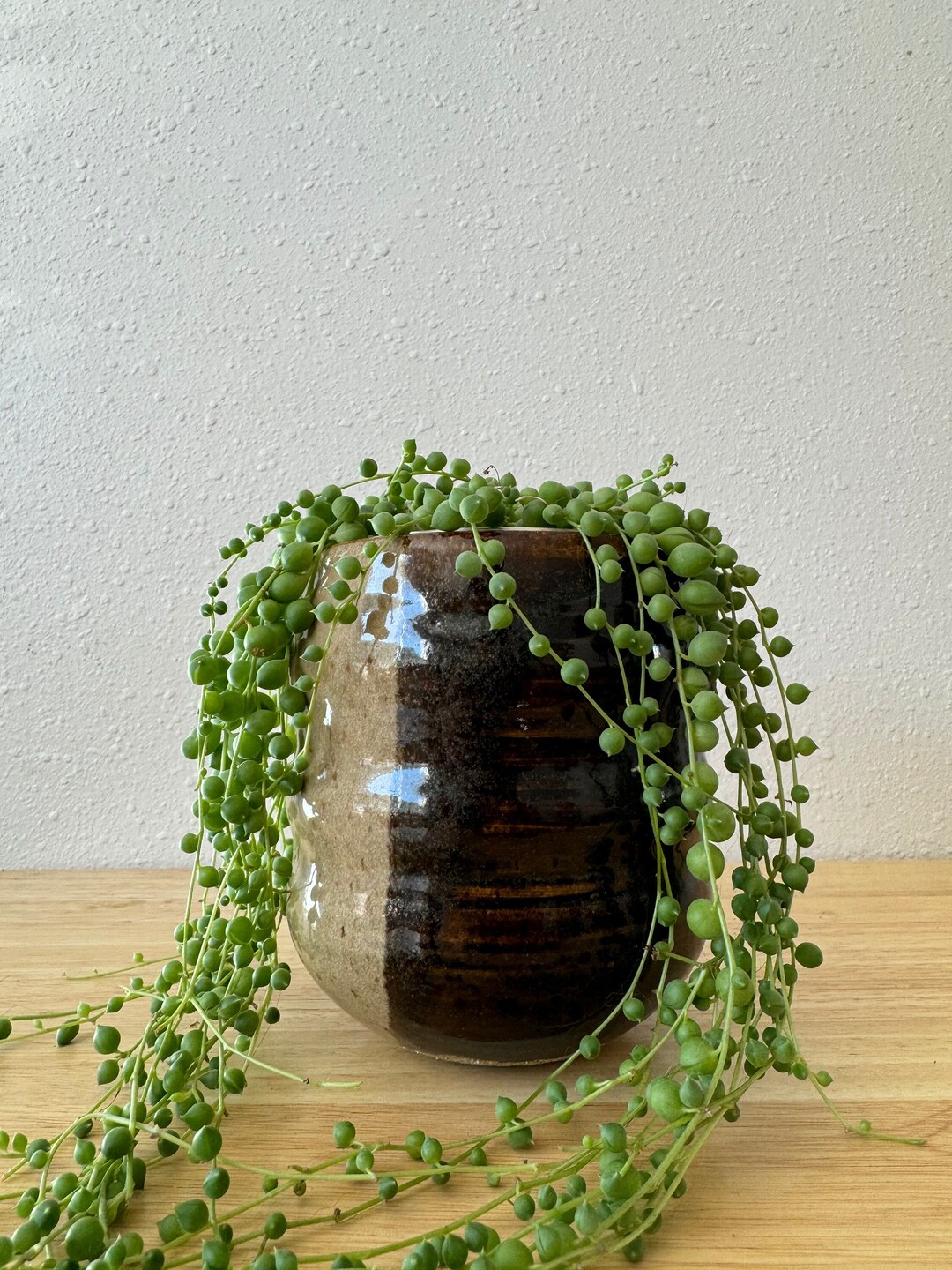 Ceramic Planter, Light and Dark Brown Bubble Plant Pot - Etsy