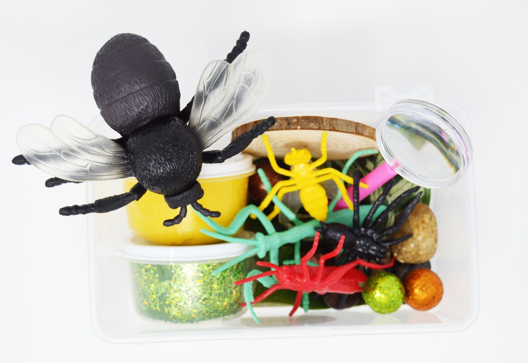 Bugs Playdough Kit; Bugs Bizzy Box; Sensory Kit; Bugs Craft;birthday ...