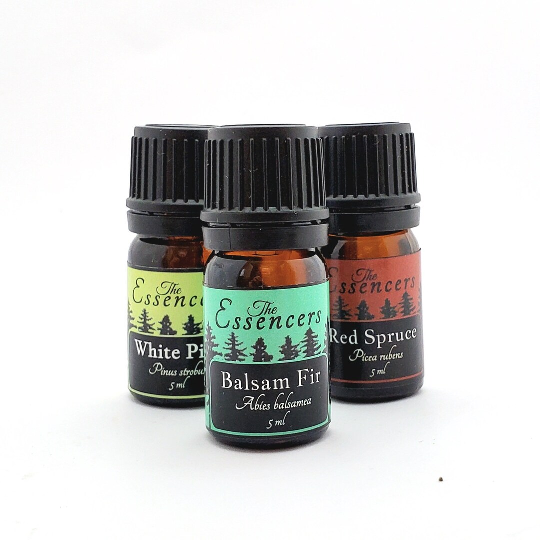 Maine Tree Trio Balsam Fir, White Pine, and Red Spruce Essential Oils ...