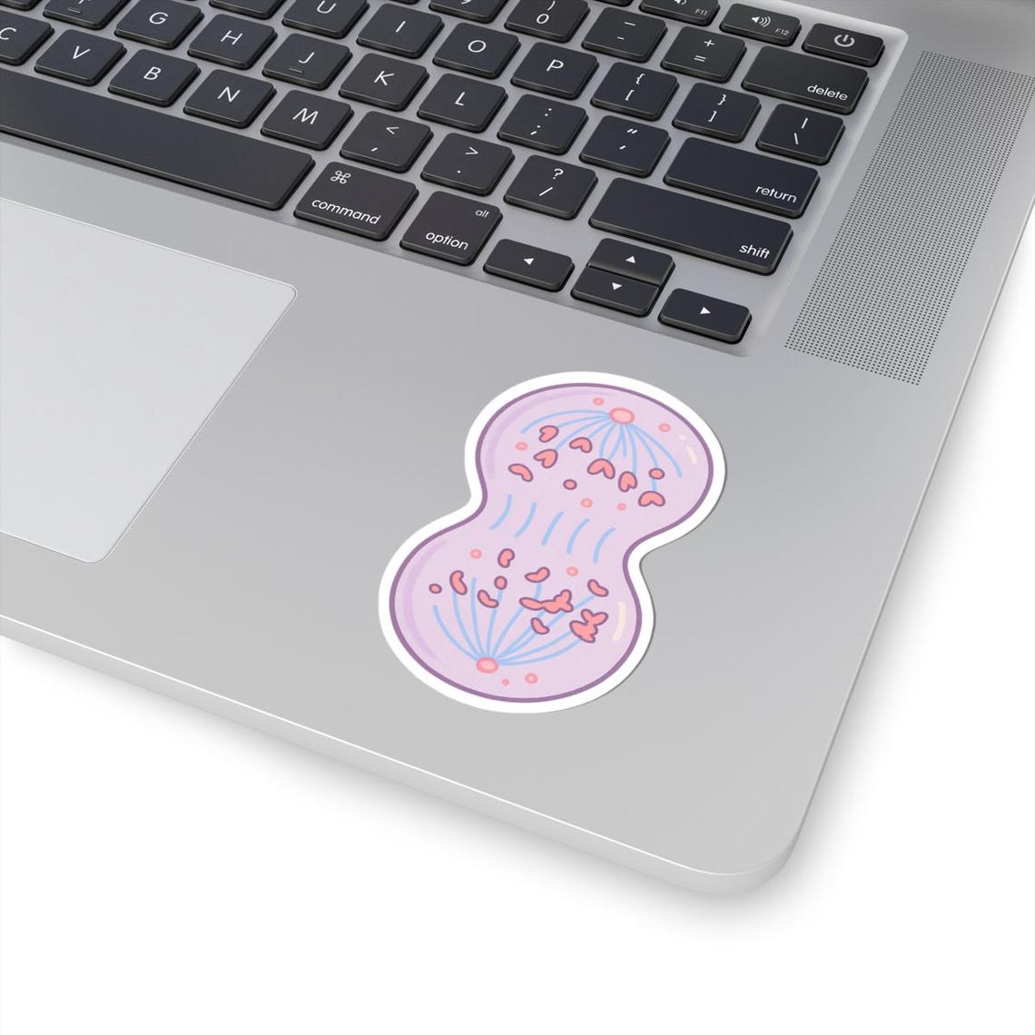 Cute Mitotic Cell Division Chromosomes Science Sticker | Biopunk ...