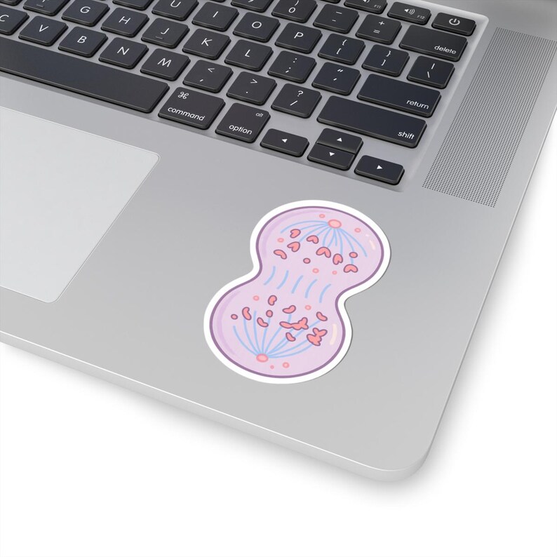 Cute Mitotic Cell Division Chromosomes Science Sticker | Biopunk ...