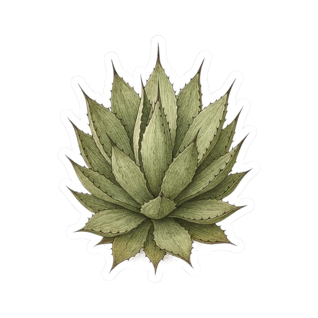 Agave Close-up Detailed Leaf Structure Botanical Study Plant Sticker ...