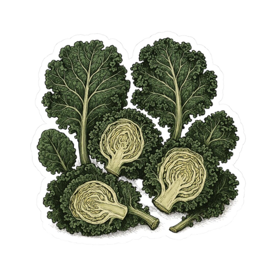 Kale Leaves Sliced Cabbage Heads Arranged Formation Plant Sticker ...