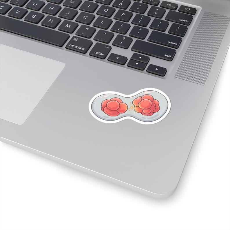 Cartoon Cell Division Mitosis Biology Science Sticker | Biopunk ...
