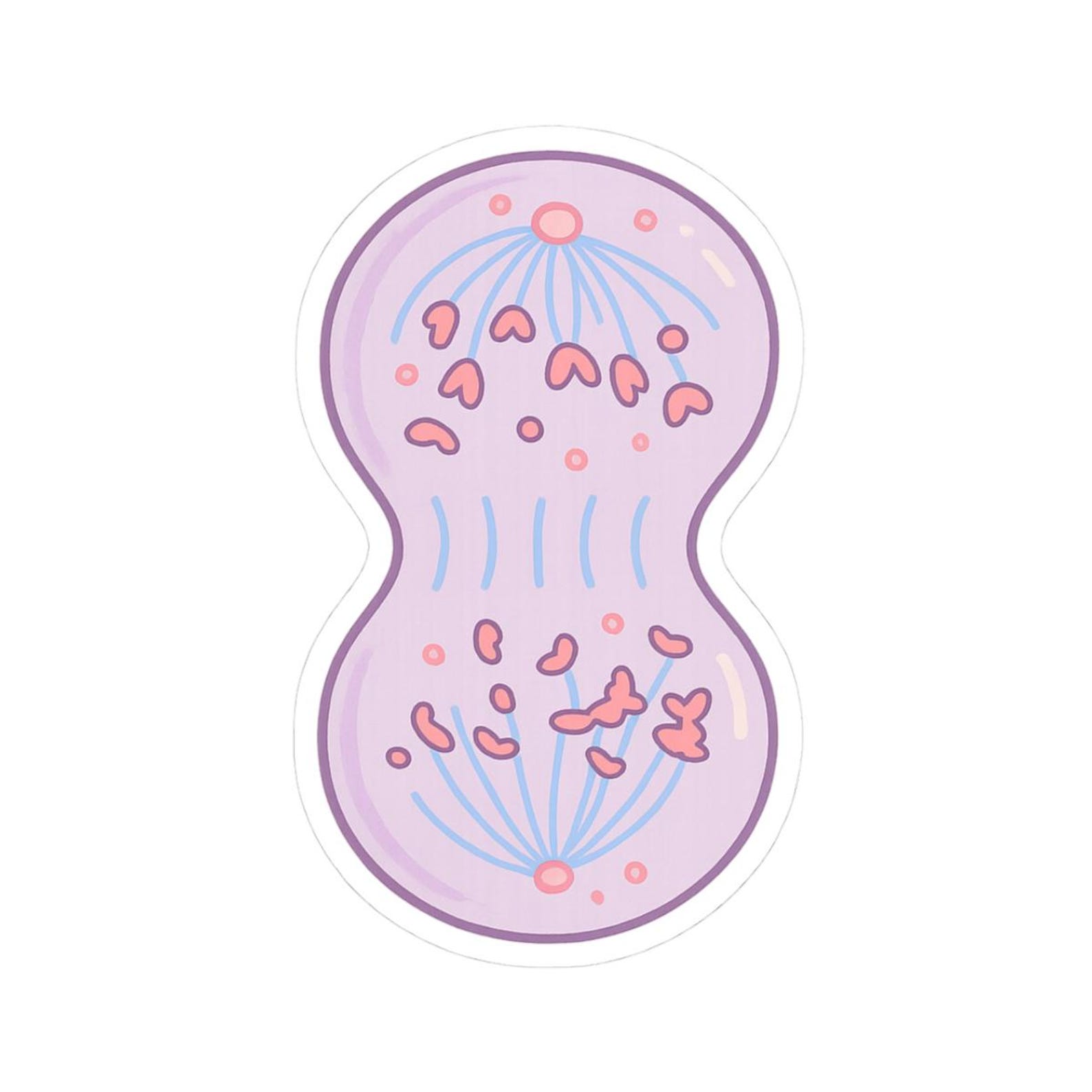Cute Mitotic Cell Division Chromosomes Science Sticker | Biopunk ...