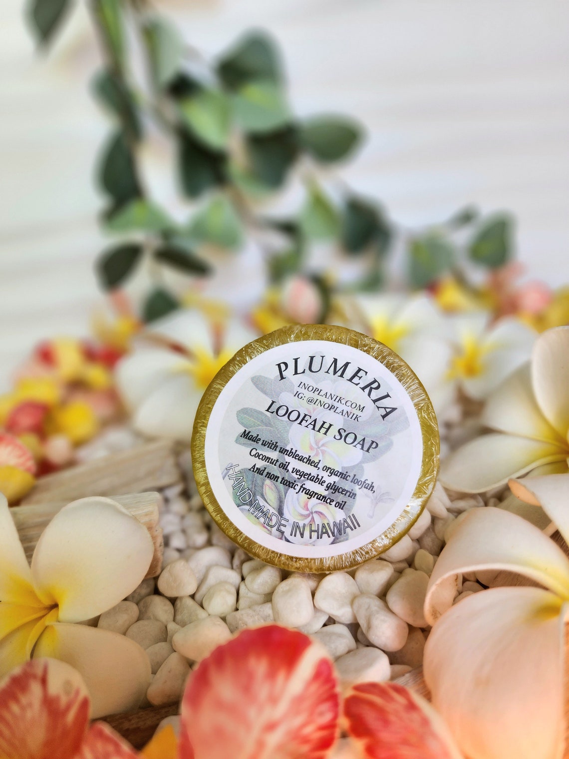 Hawaii Loofah Soap Inoplanik Ohana Soap Llc Organic - Etsy