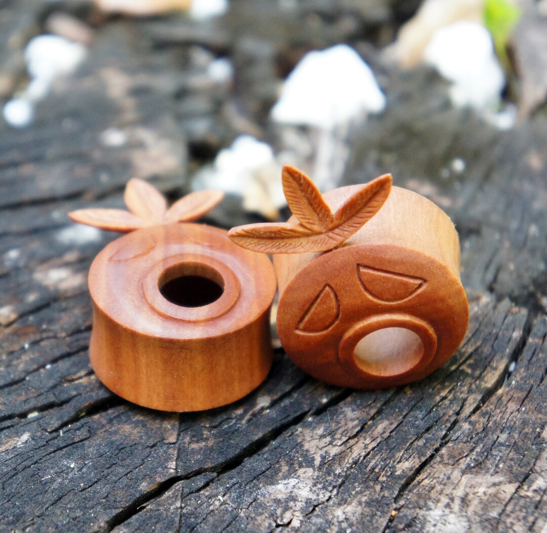 Sawo Wood Flesh Tunnel Deku Mask Plugs 18mm 11/16 20mm 13/16 22mm 7/8 ...