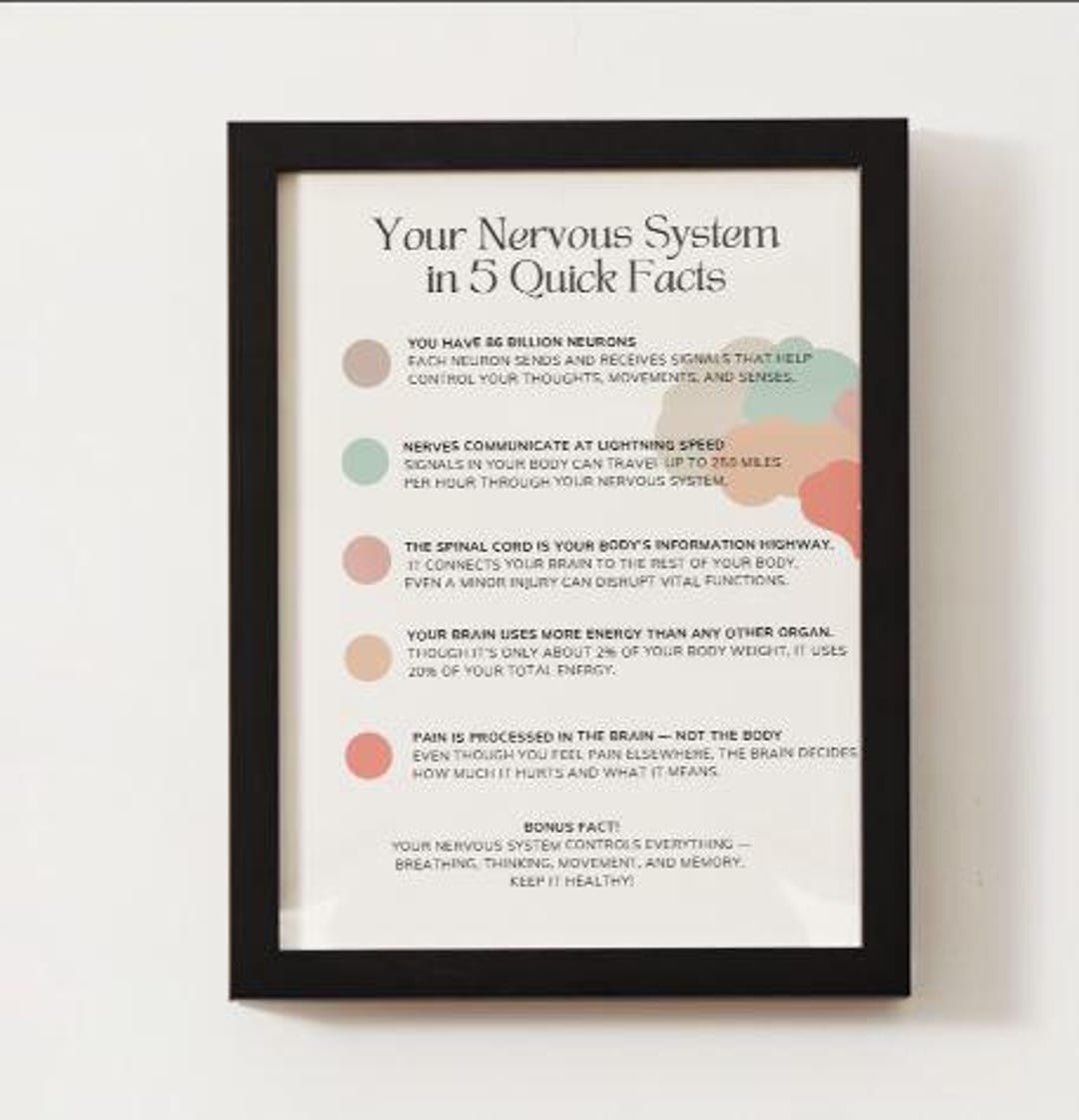 Nervous System Poster | Neurology Office Decor | Neuroscience ...