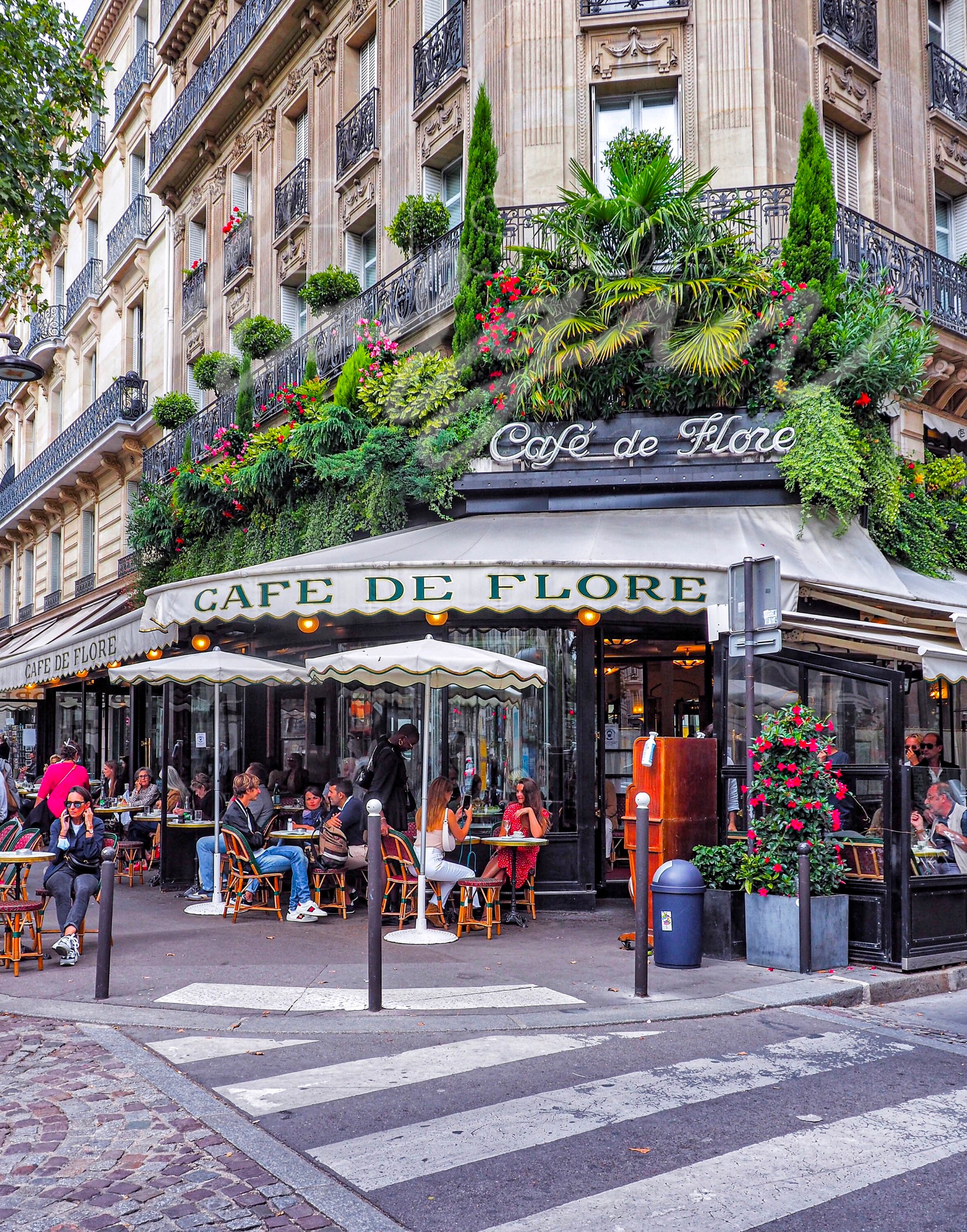 French Cafe Photography