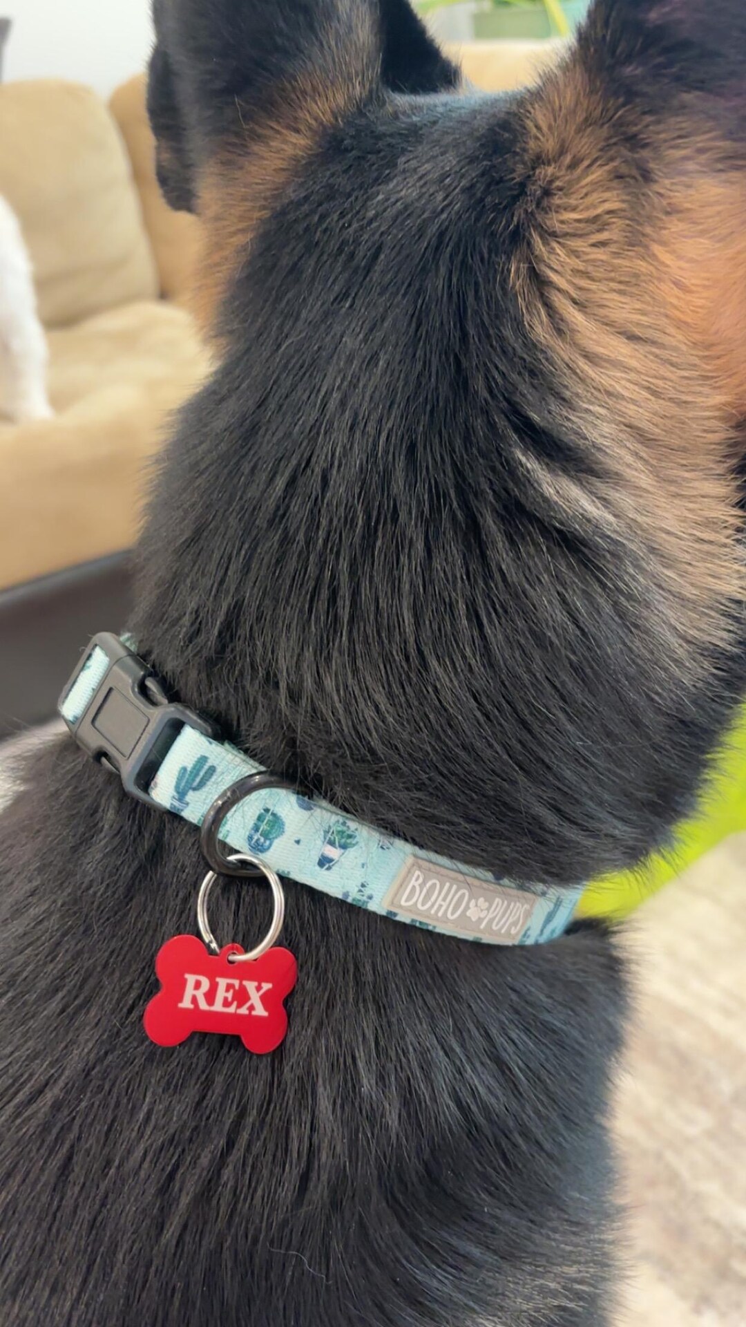 Custom Dog Name Tag/ Pet Name Tag/bone Name Tag/pet Identification - Etsy