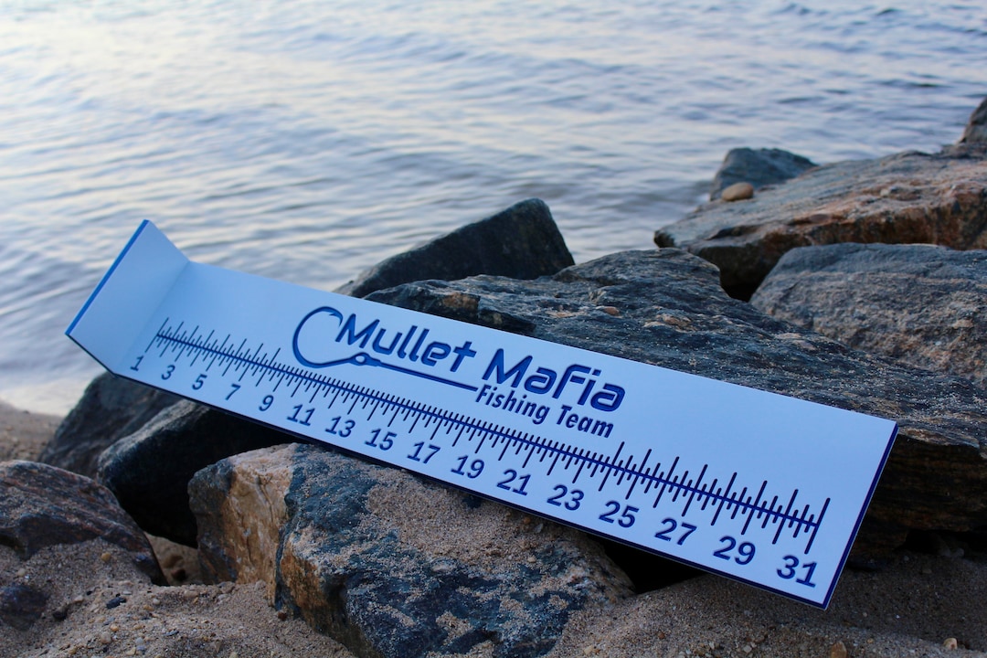 Promeasure32 Bump Board/fishing Board/fathers Day/bass Fishing/walleye ...