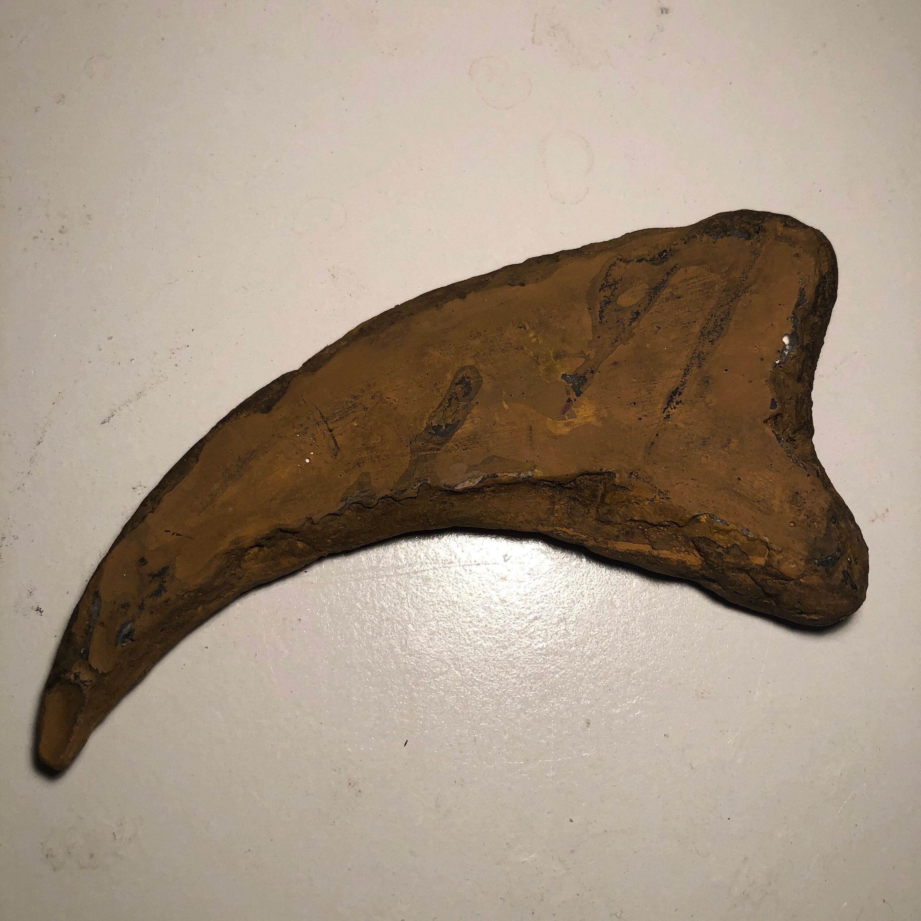 Utahraptor Claw Replica | Etsy