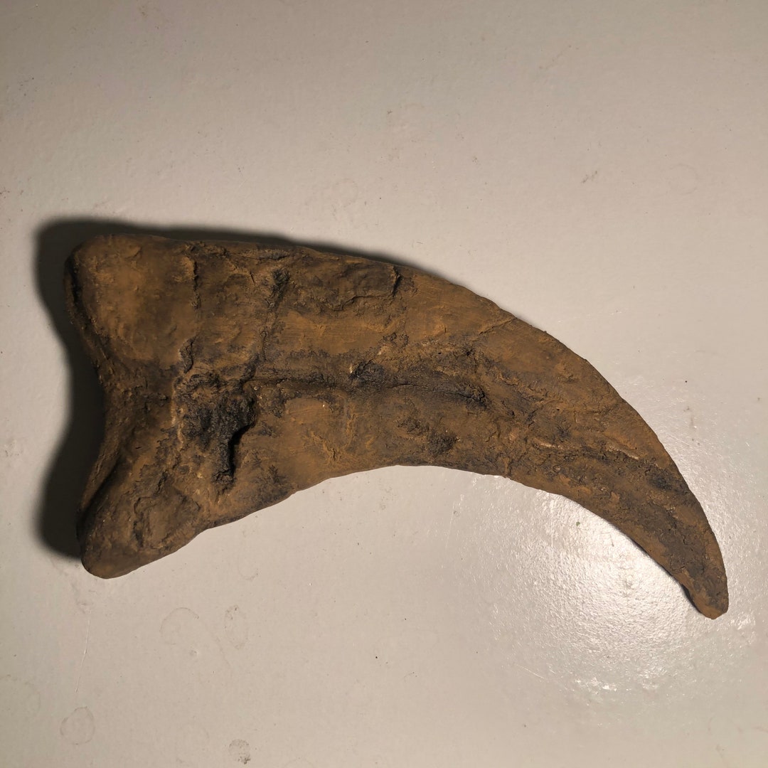 Utahraptor Claw Replica - Etsy