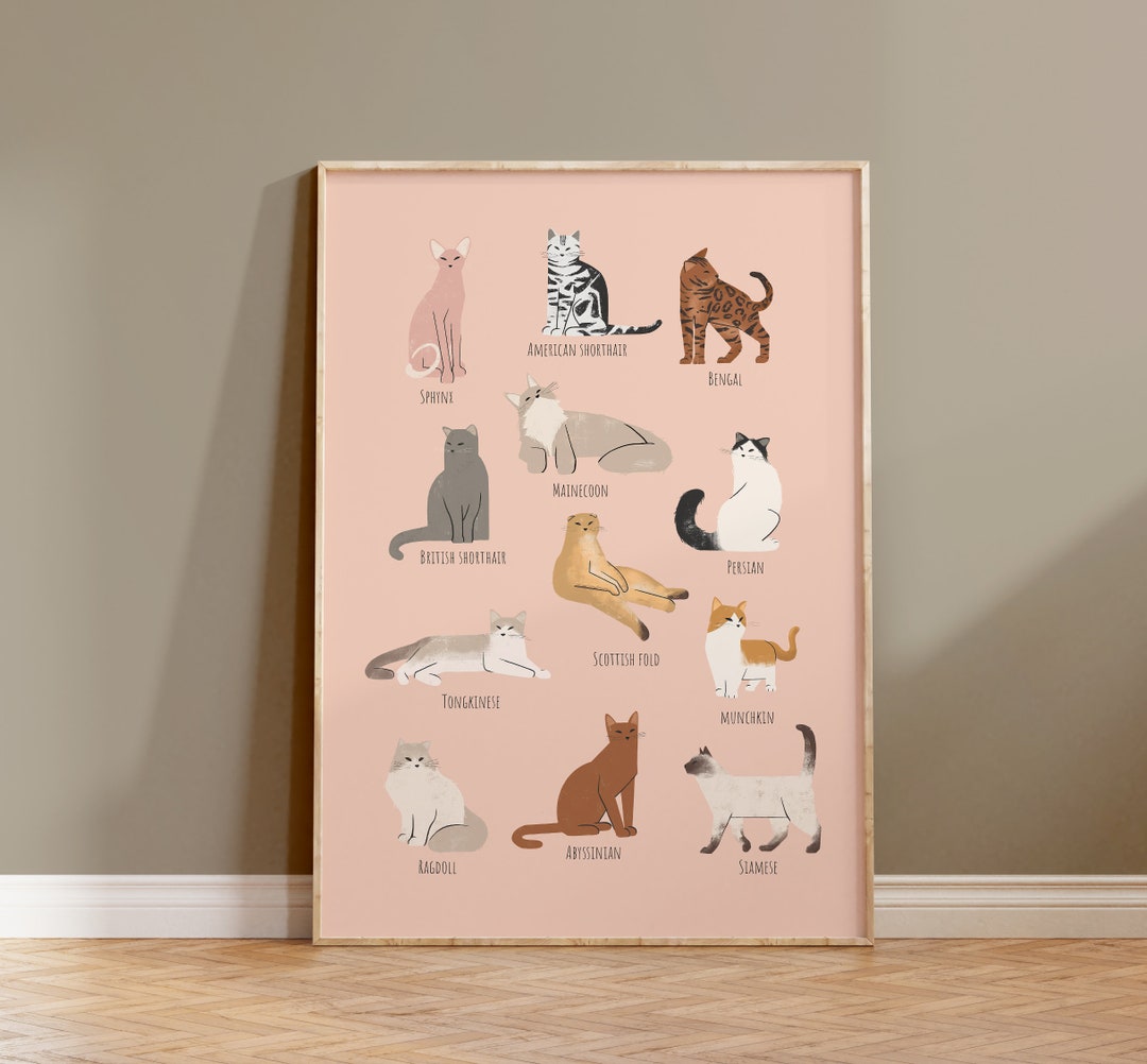 Cat Breeds Poster, Cat Portrait Drawing, Cat Guide Poster, Cat Lover ...