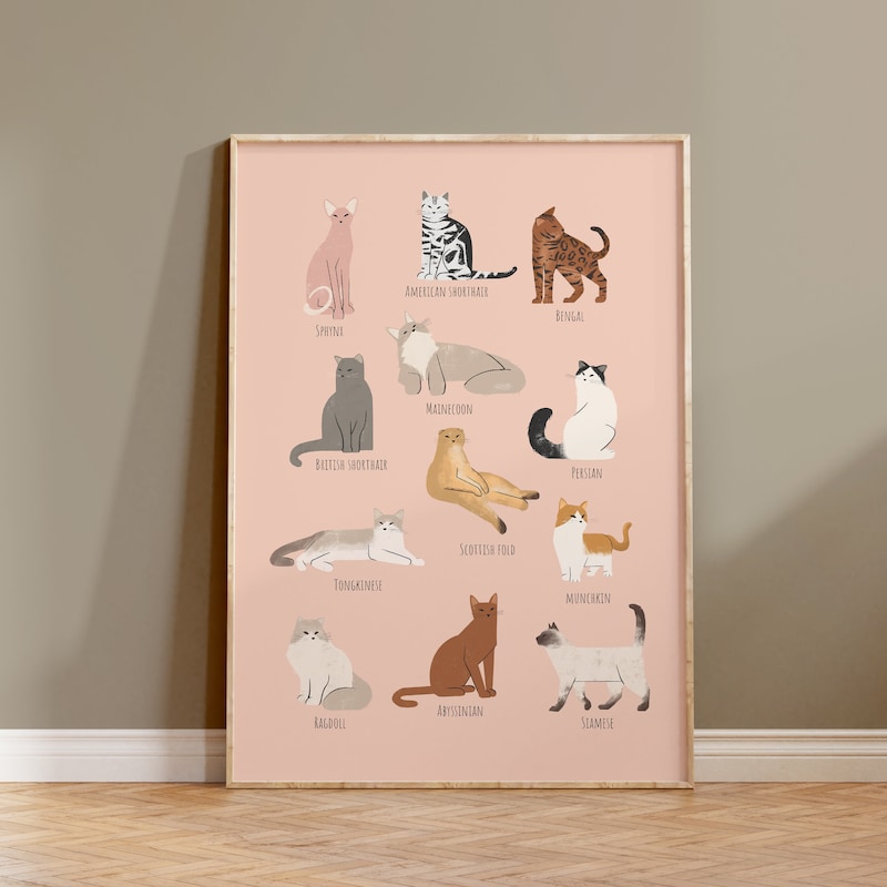 Breeds of Cats Poster - Etsy