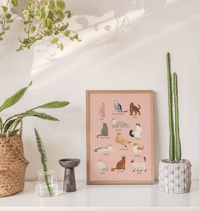 Cat Breeds Poster Cat Portrait Drawing Cat Guide Poster Cat - Etsy