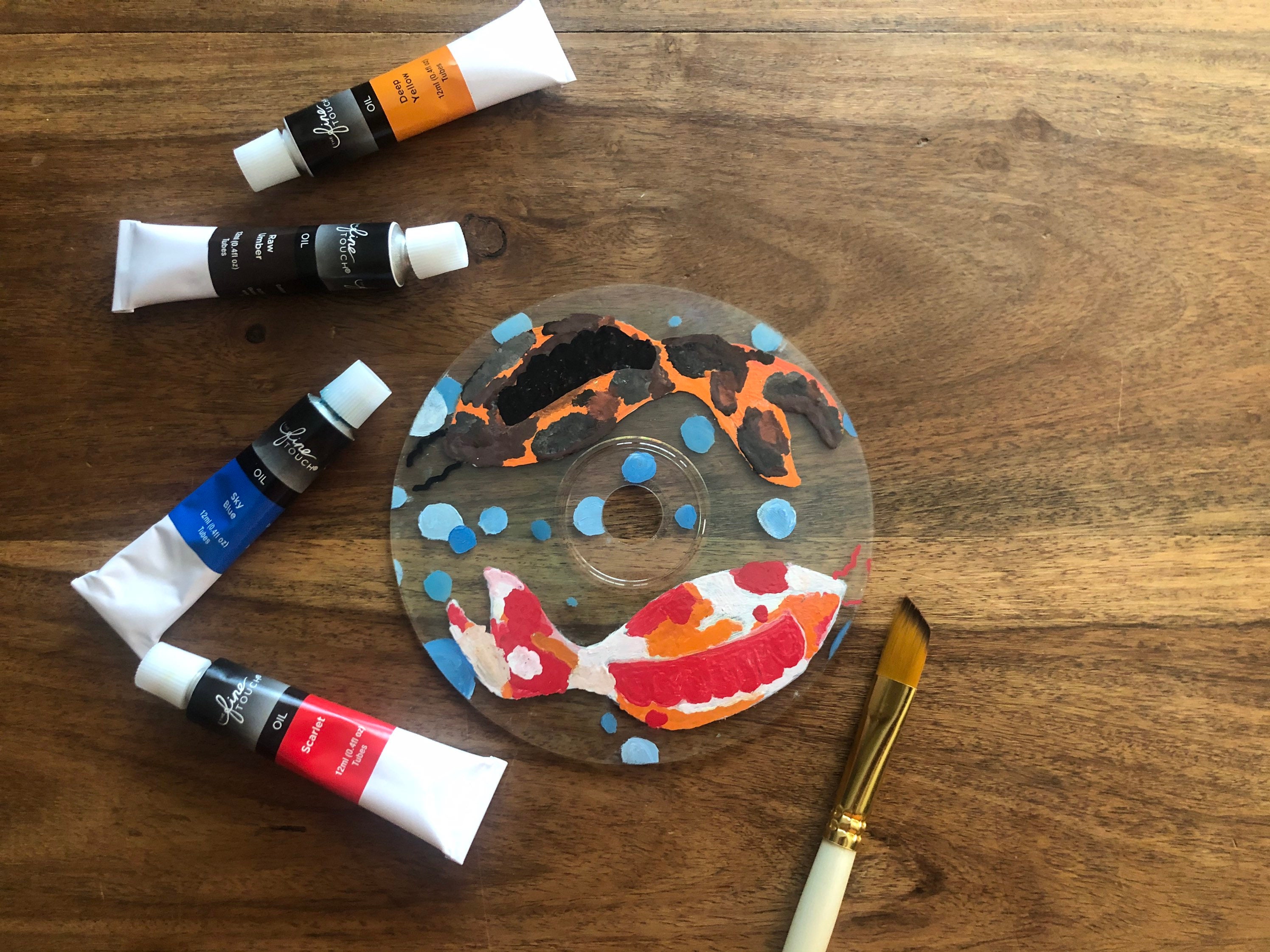 Custom Hand Painted CD Room Decortransparent Indie Aesthetic - Etsy