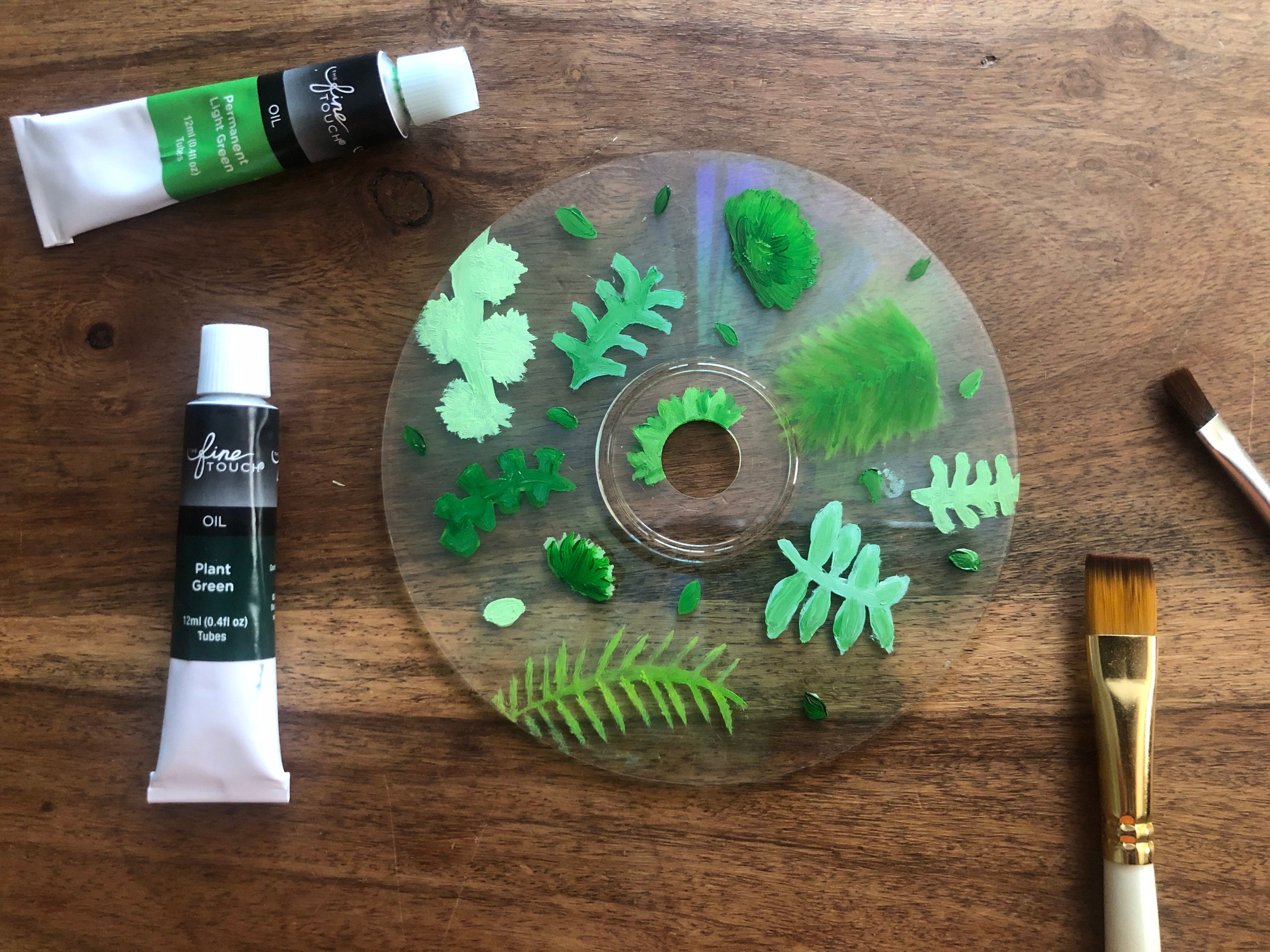 Custom Hand Painted CD Room Decortransparent Indie Aesthetic - Etsy