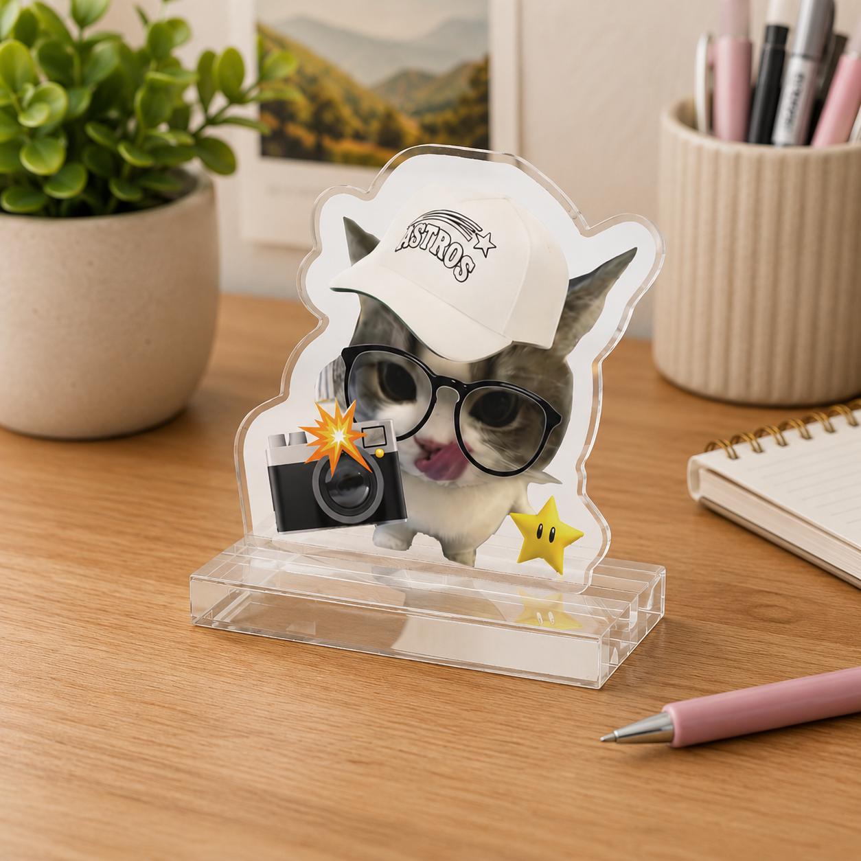 Meme Cat Acrylic Standee | Viral Cat Desk Decor, Kawaii Figure, Room ...