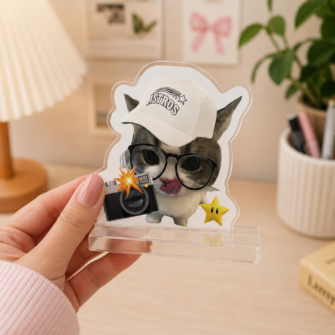 Meme Cat Acrylic Standee | Viral Cat Desk Decor, Kawaii Figure, Room ...